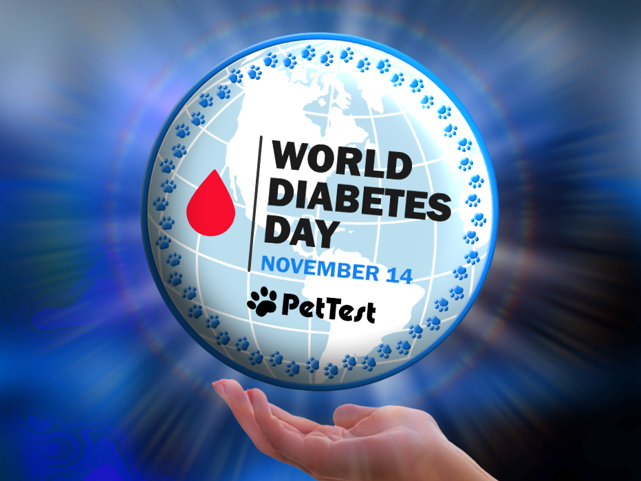 World Diabetes Day - PetTest by Advocate