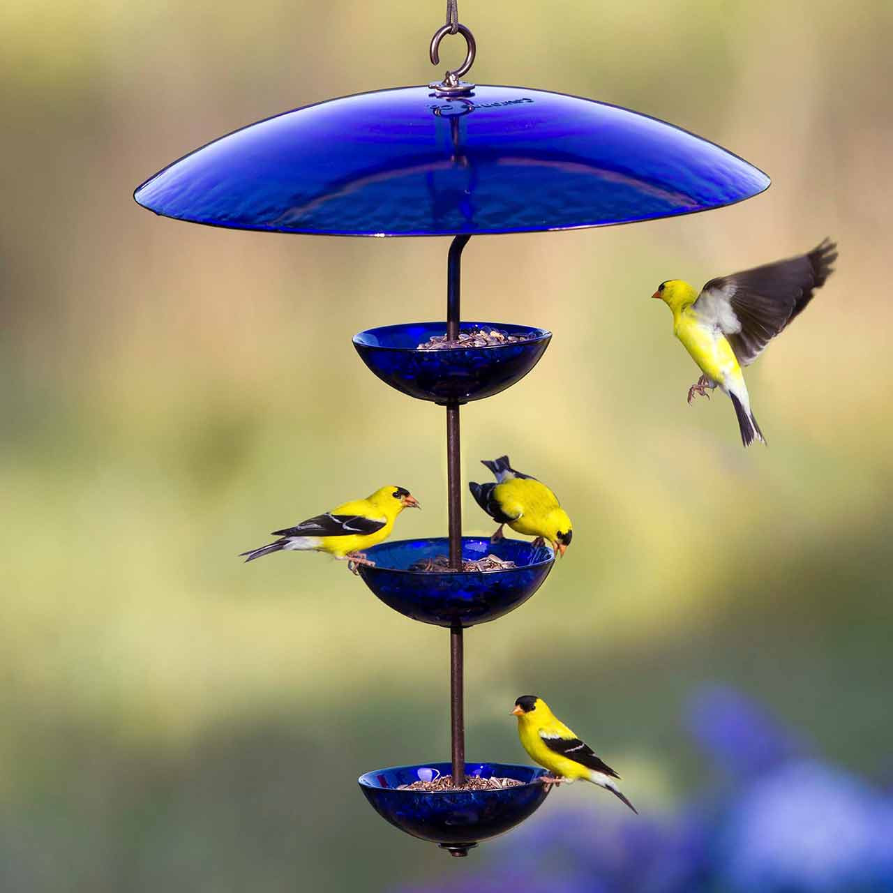 Triple Hanging Poppy Feeder | Mosaic Birds