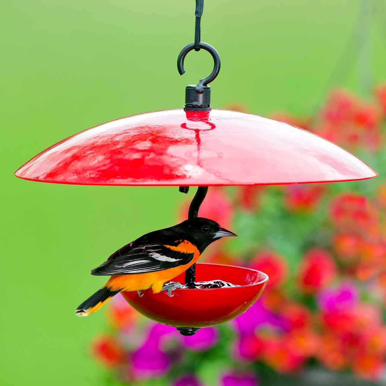 Single Poppy Feeder with Baffle and Steel Core Rope