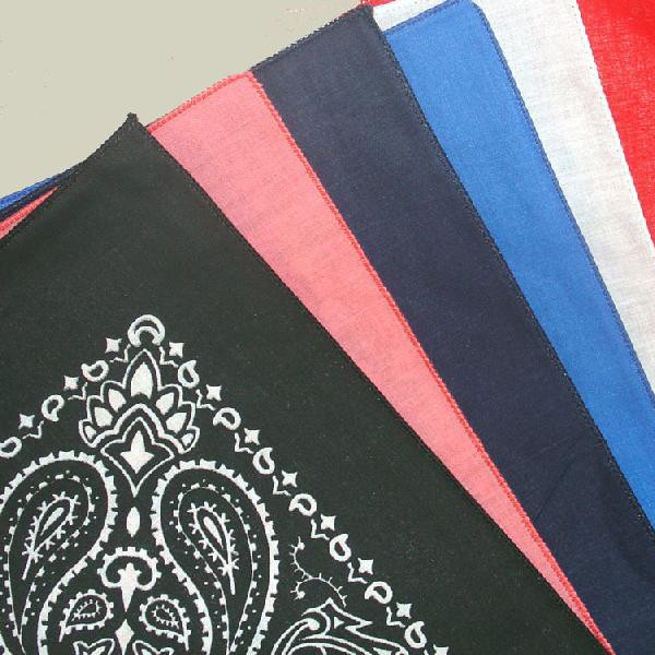 Made in the USA - Assorted Colors Paisley Bandana - Western Express