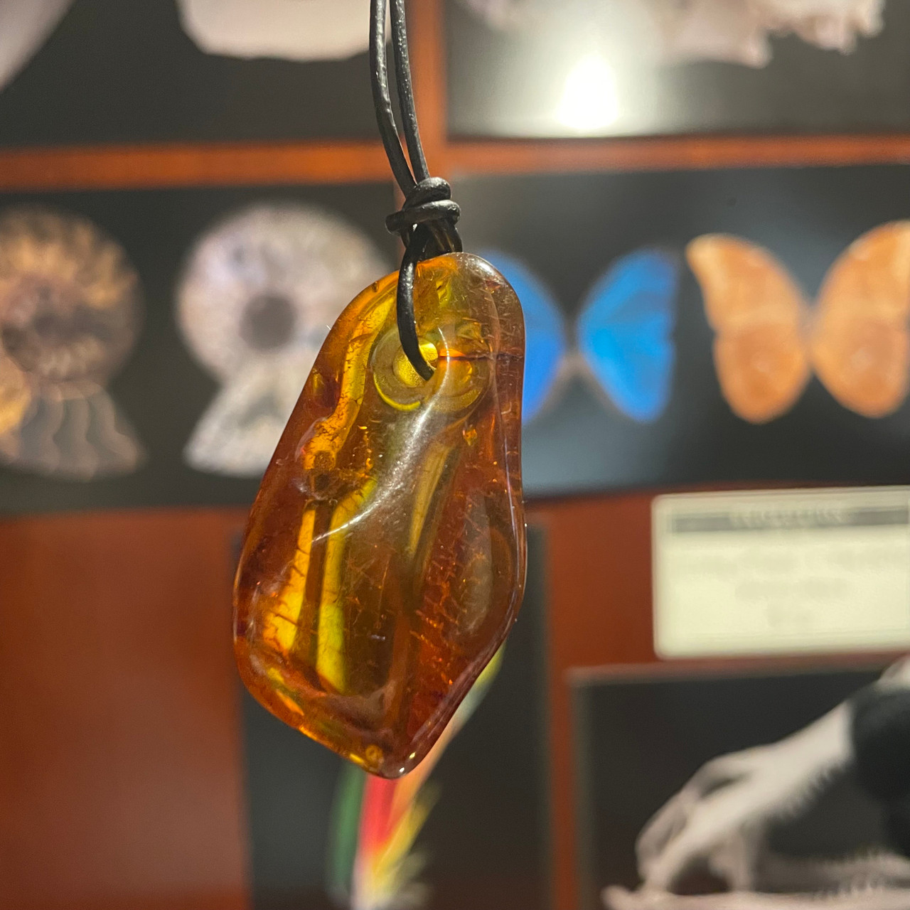 Amber - Necklace | Evolution Store