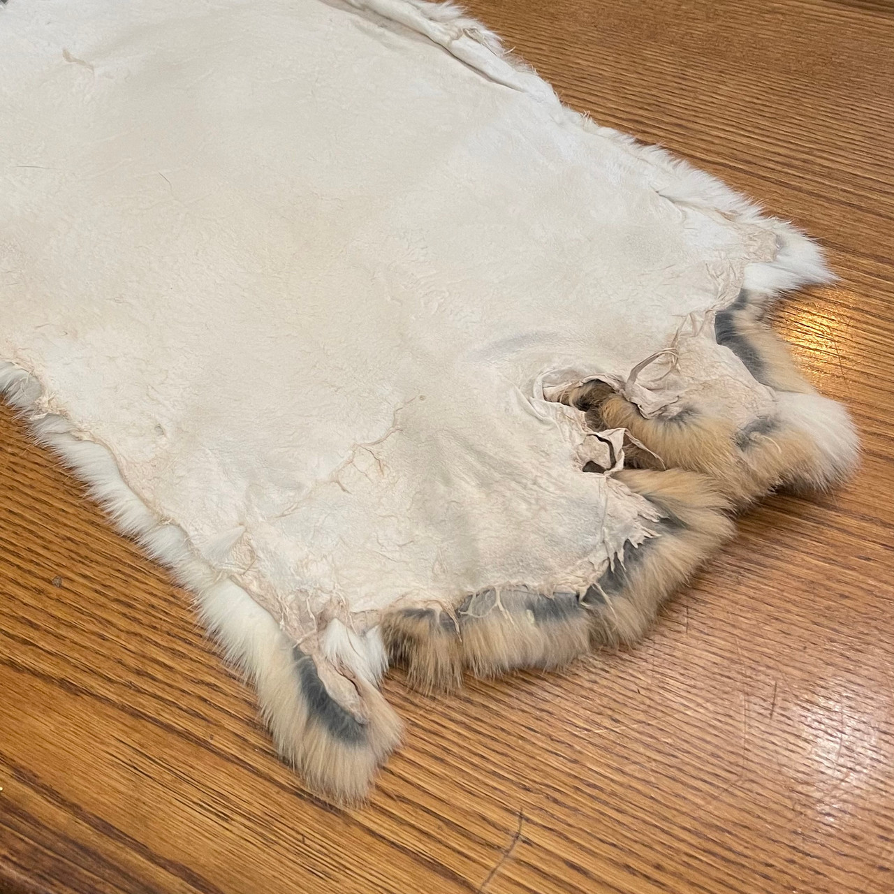 Rabbit Pelt | Evolution Store