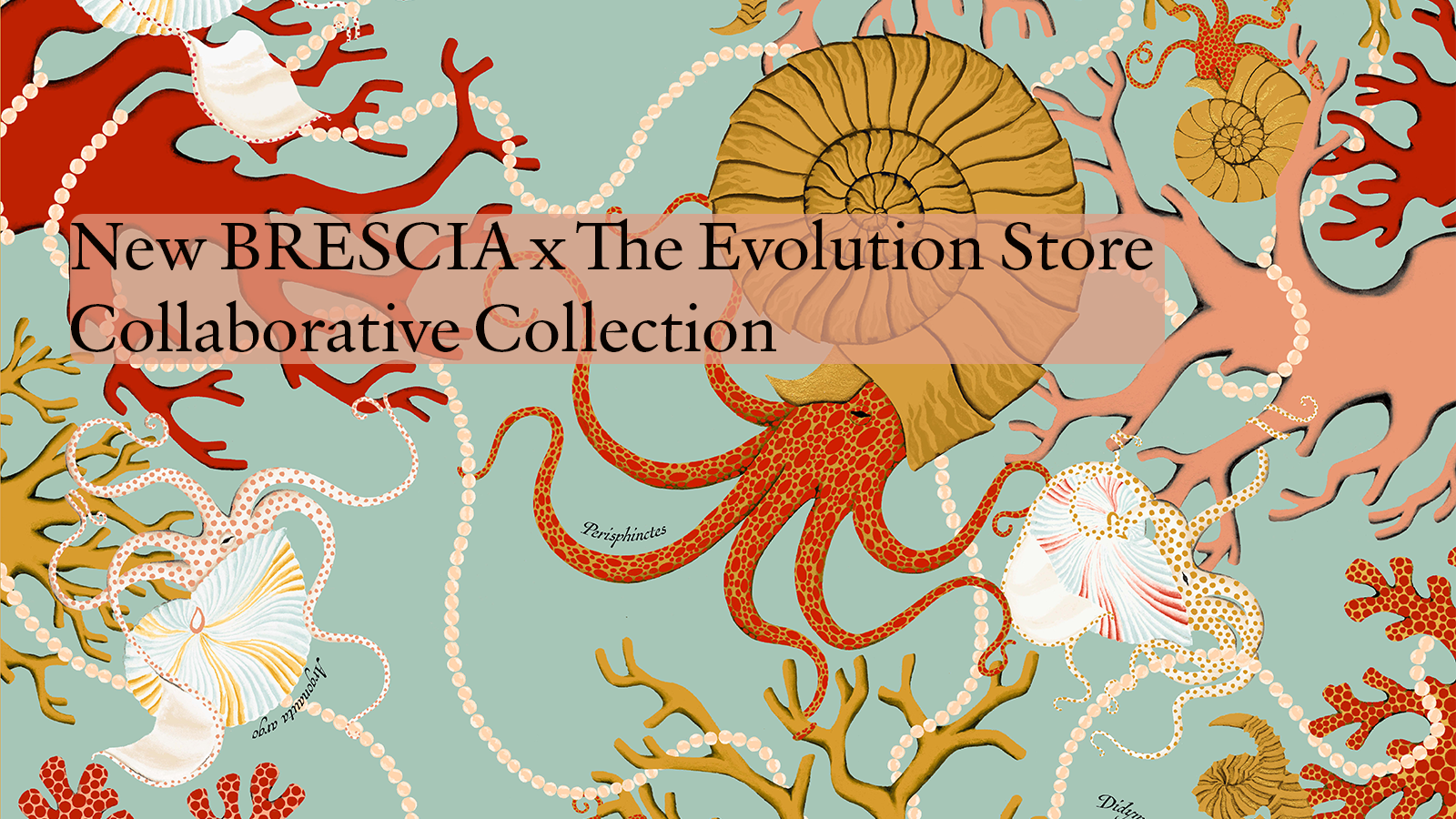 The Evolution Store | Nature, Science and Art