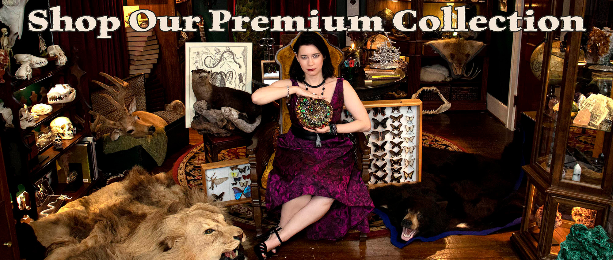 The Evolution Store | Nature, Science and Art