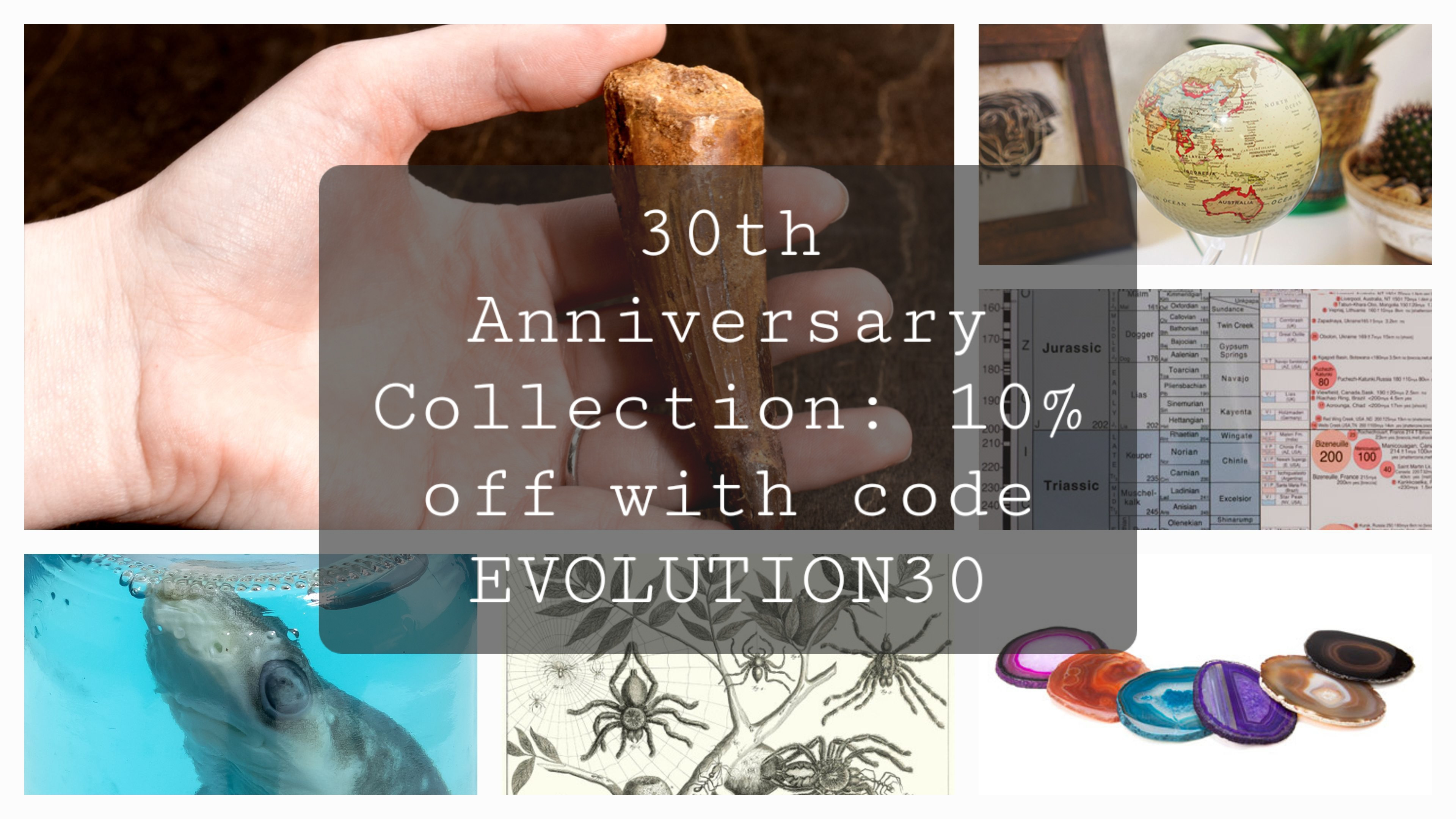 The Evolution Store | Nature, Science and Art
