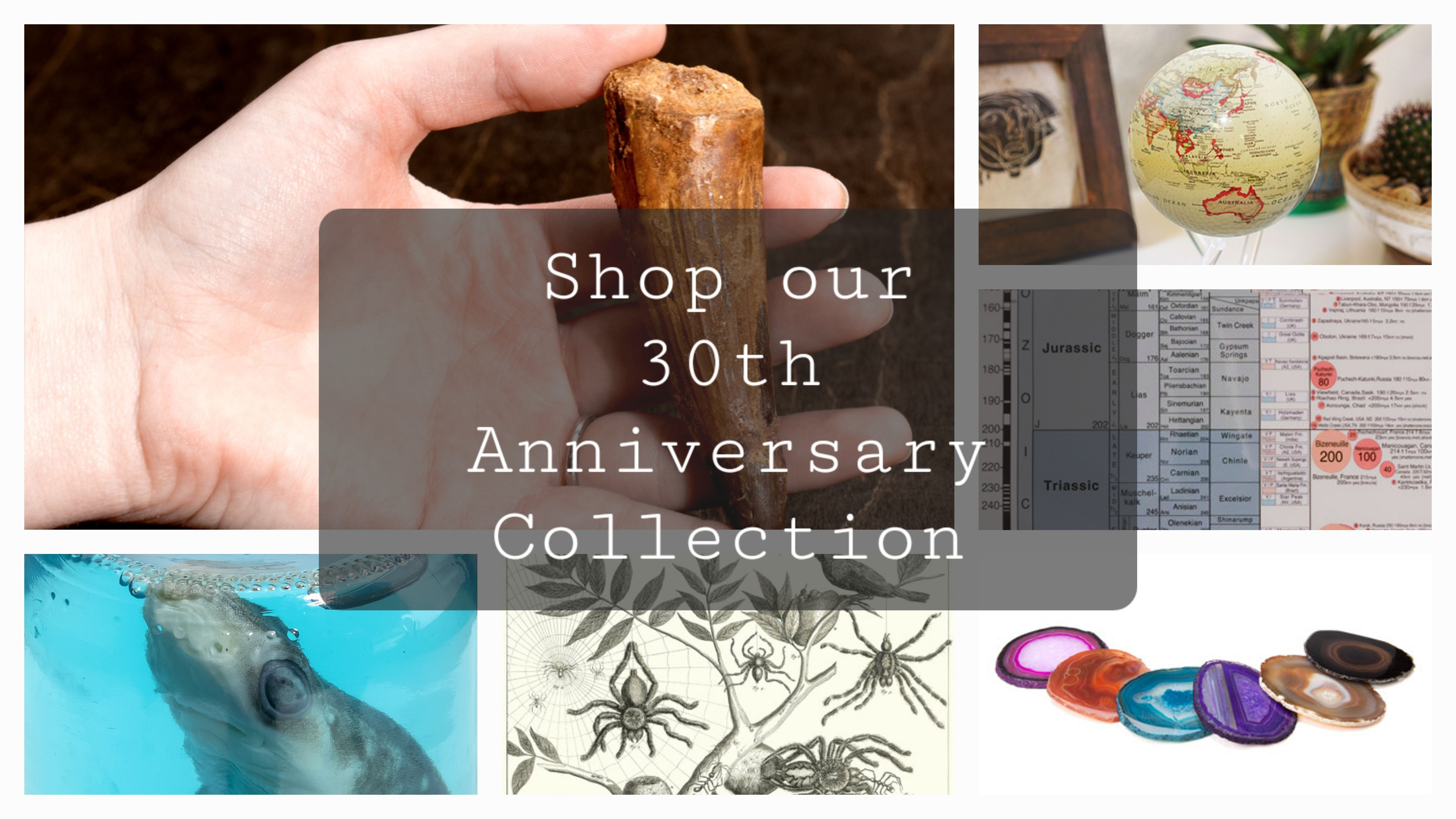 The Evolution Store | Nature, Science and Art