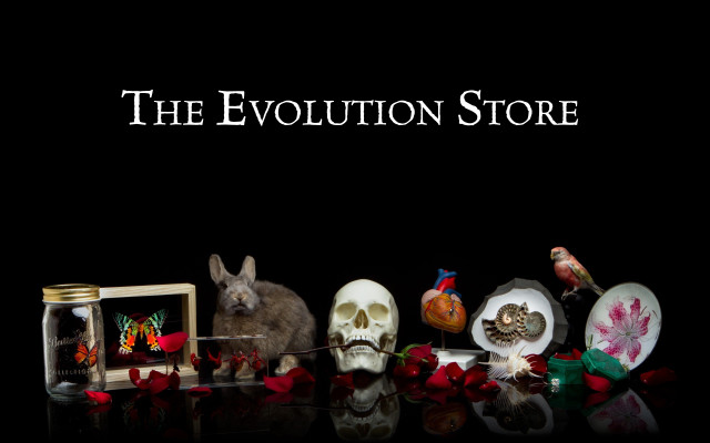 The Evolution Store | Nature, Science and Art