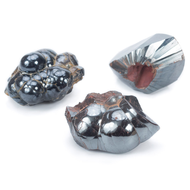 Polished Dinosaur Droppings - Coprolite | Evolution Store