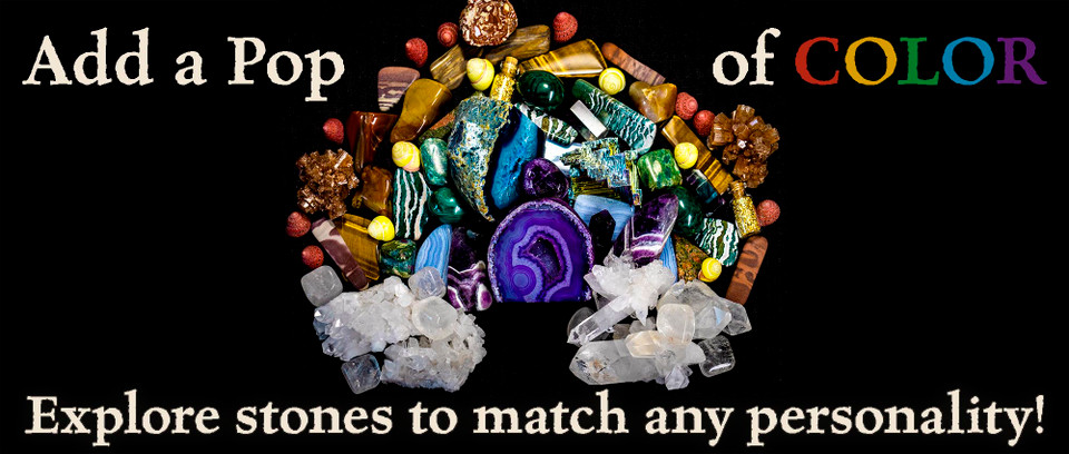 The Evolution Store Nature Science And Art