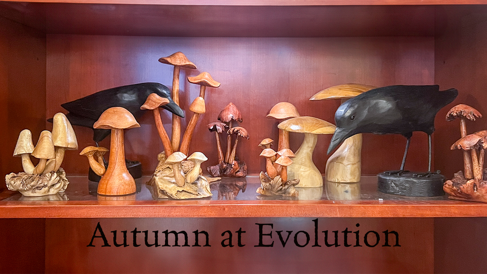 The Evolution Store | Nature, Science and Art
