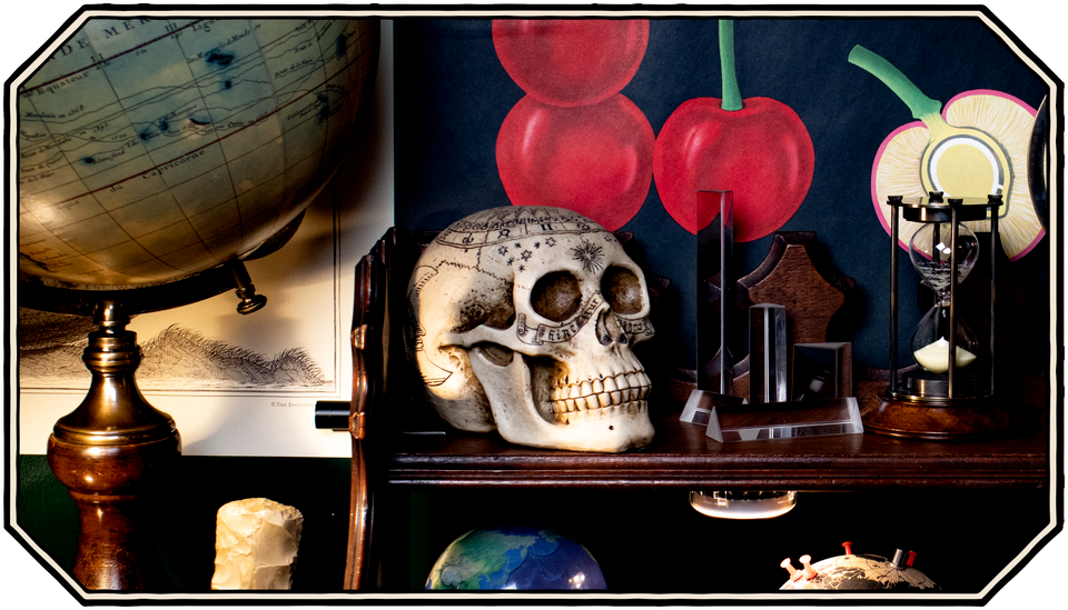 The Evolution Store | Nature, Science and Art