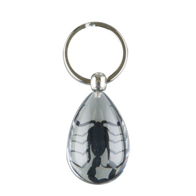 Black Scorpion Keychain | Evolution Store