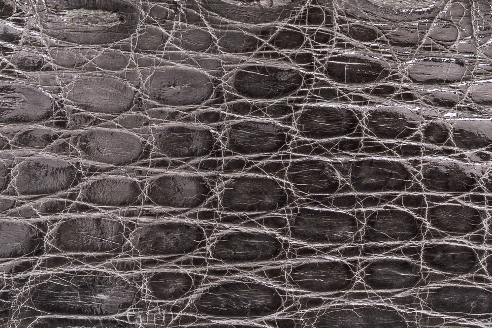 Flank Skins - Genuine American Animal Skin