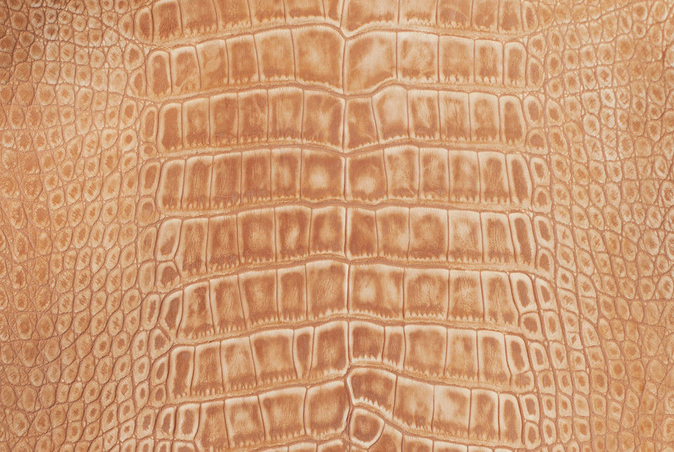 Lizard Skin Java BCUB Crust Natural