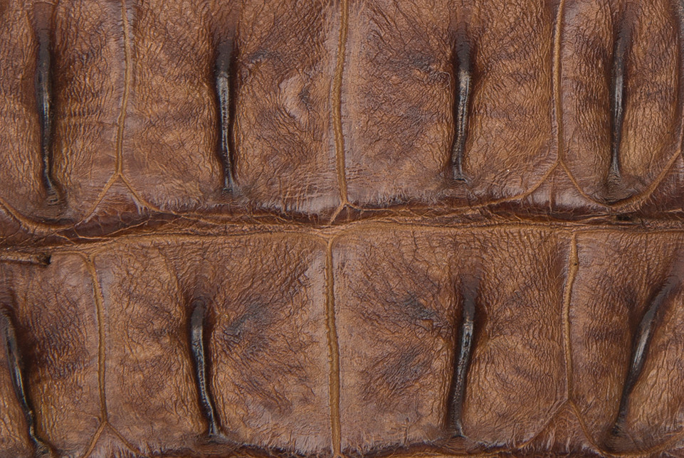 Lizard Skin Java BCUB Crust Natural