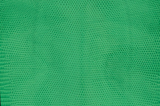 Lizard Skin Java BCUB Crust Natural