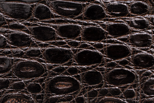 Flank Skins - Genuine American Animal Skin