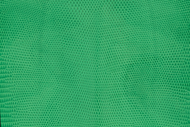 Lizard Skin Java BCUB Crust Natural