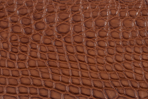 Alligator Flank Matte Cognac