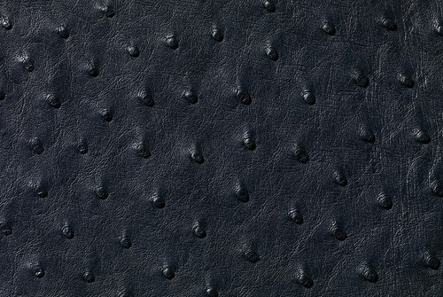 Ostrich Skin Garment Navy