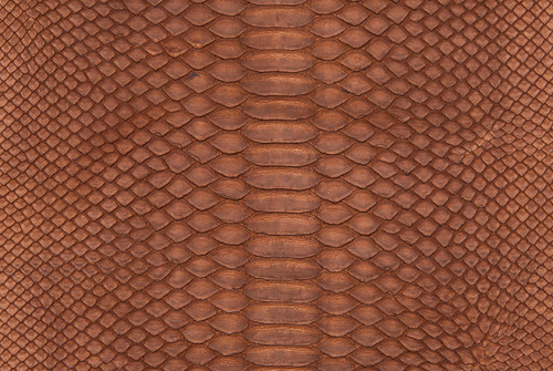 Python Skin Matte Saddle