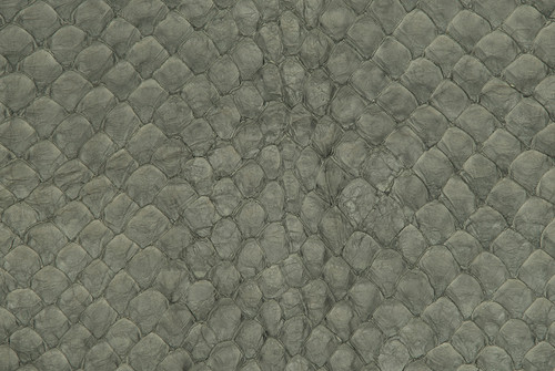 Arapaima Skin Matte Grey