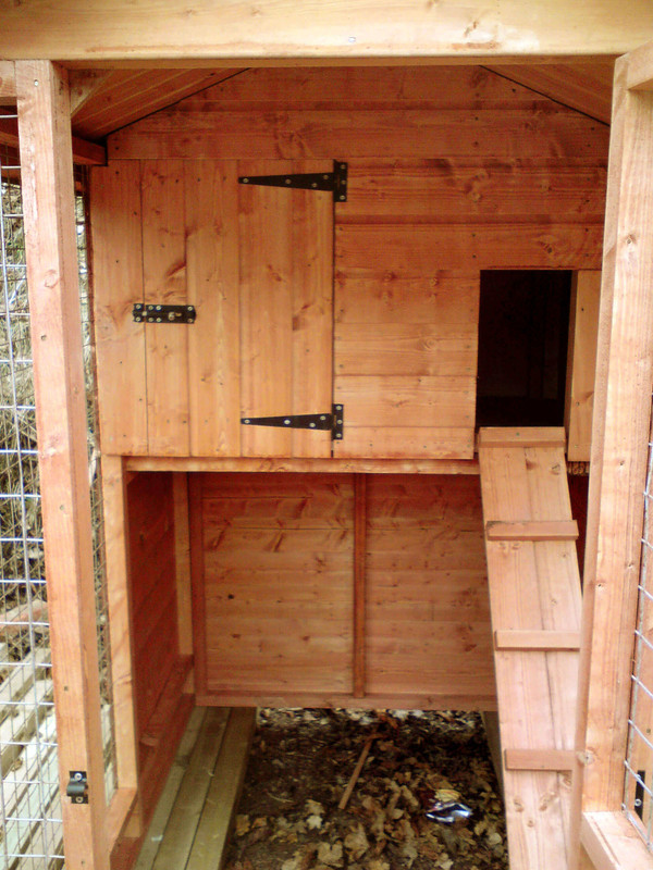 Hen House with Optional Rear Nesting Box