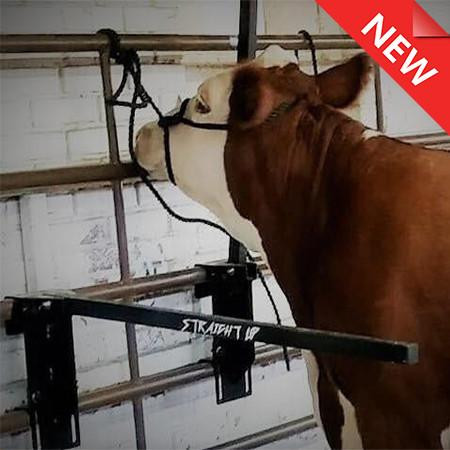 Sullivan Supply Livestock Show Gear | Jackson’s Western Store