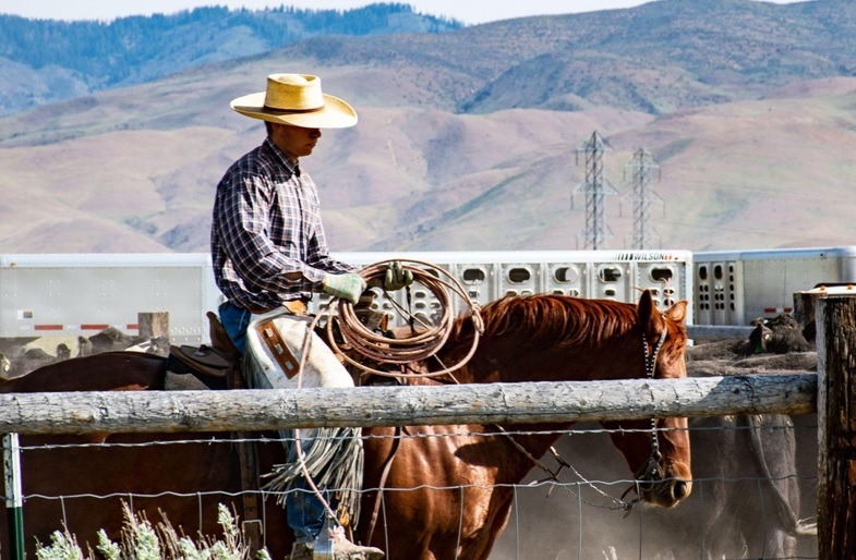 Ranching Apparel for Serious Cowboys: 10 Must-Have Essentials - Jackson ...