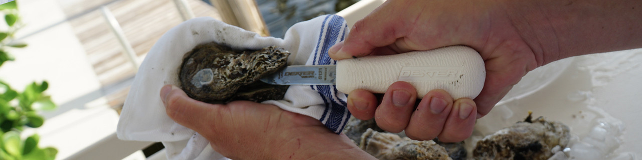 Shellfish Knives - Oyster Knives - Dexter Outdoors