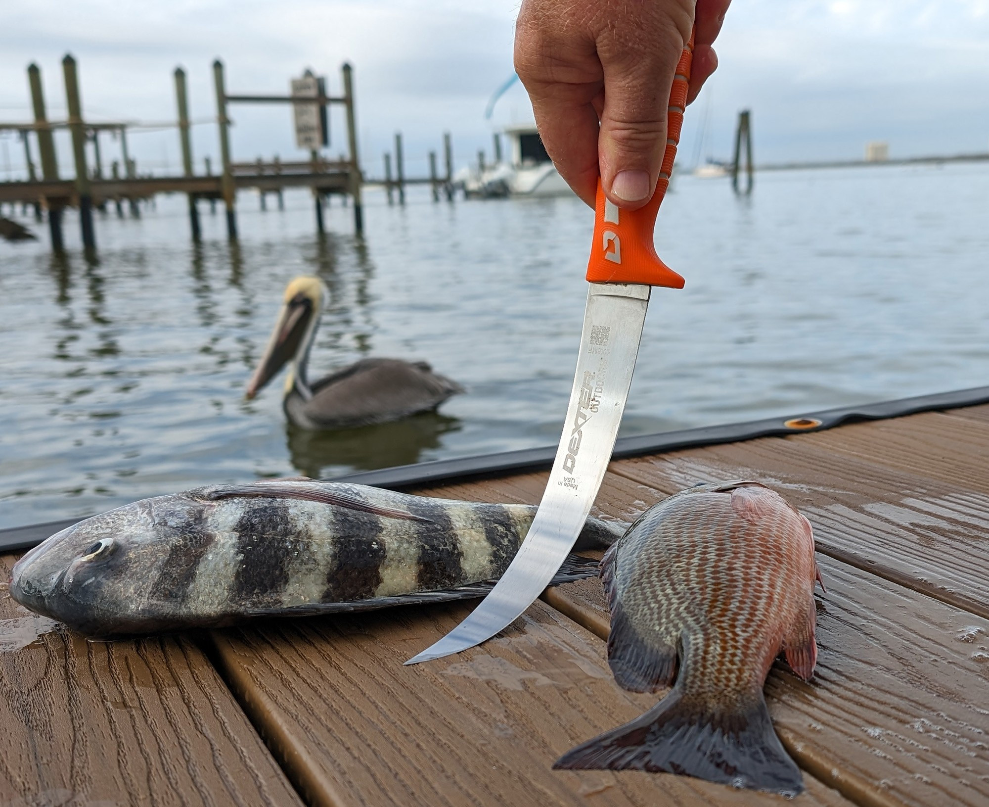 Fishing, Hunting & BBQ Knives for Sale | Dexter Outdoor Knives