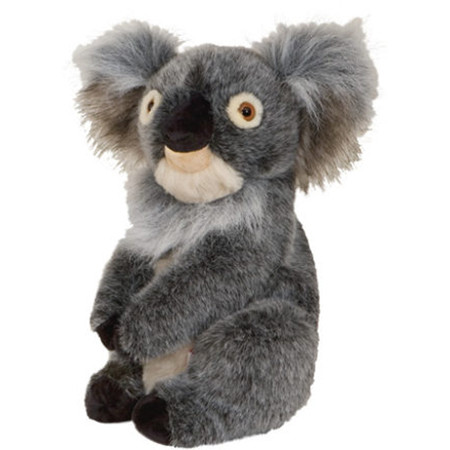 Daphne's Animal Driver Headcover - Koala | Fiddler's Green