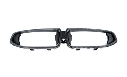 GENUINE BMW G42 2 SERIES COUPE M PERFORMANCE CARBON FRONT GRILLE - SSDD ...