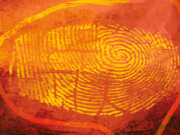 Latent Print Development - 1,2 - Indanedione - A-2784 - A-2785 - A-2788 ...