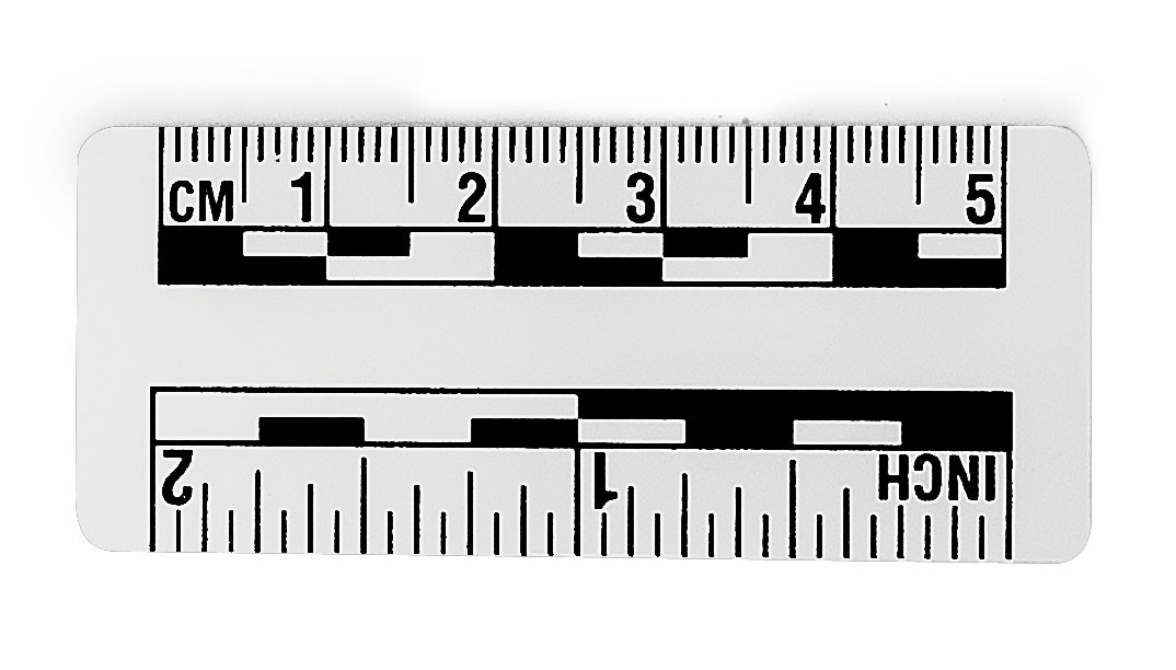 Photo Documentation - Scales - Vinyl Photo Documentation Scales - A ...