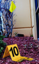 Photo Documentation - Marking Tents / Cones - Cut-Out ID Tents - A ...
