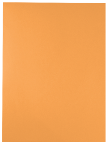 Evidence Envelope 9" x 12" | Arrowhead Forensics