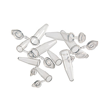 0.2mL Individual PCR Tubes w/Dome Caps, Clear | Arrowhead Forensics