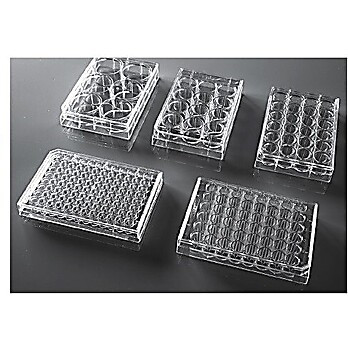 Cell Culture Plate | Arrowhead Forensics