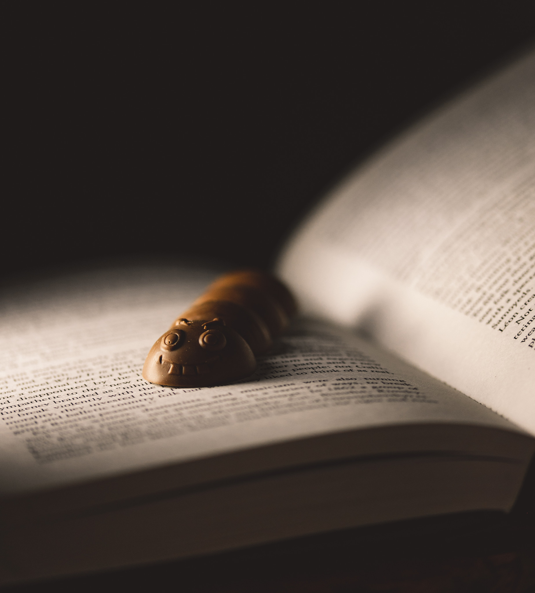 Solid Milk Chocolate BookWorm - Brecon Chocolates