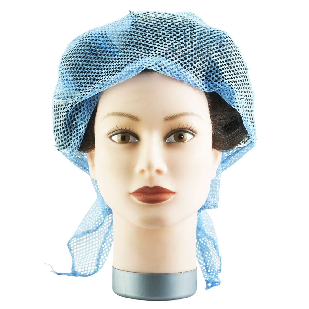Triangular Blue Setting Hairnet