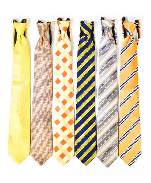 6pc. Assorted Men's Micro Woven Zipper Ties MPWZ5340