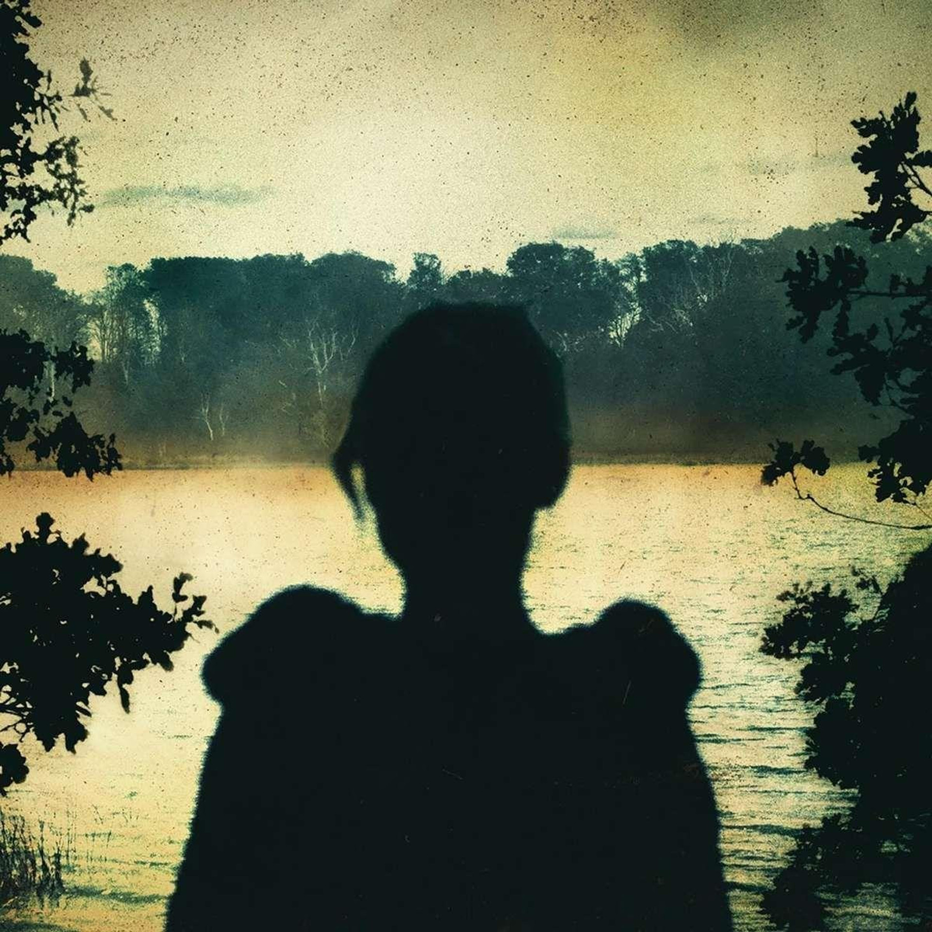 Porcupine Tree T-Shirts, Porcupine Tree Merchandise | Eyesore Merch