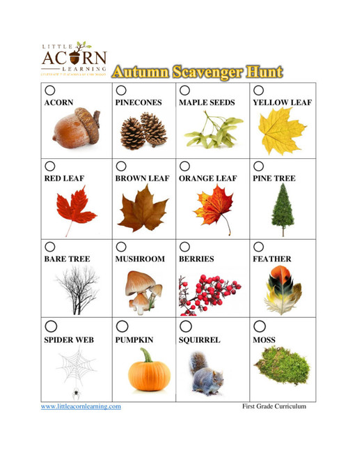 Free Autumn Scavenger Hunt - Little Acorn Learning