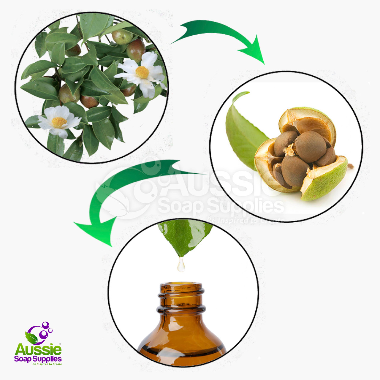 Camellia Oil, Organic