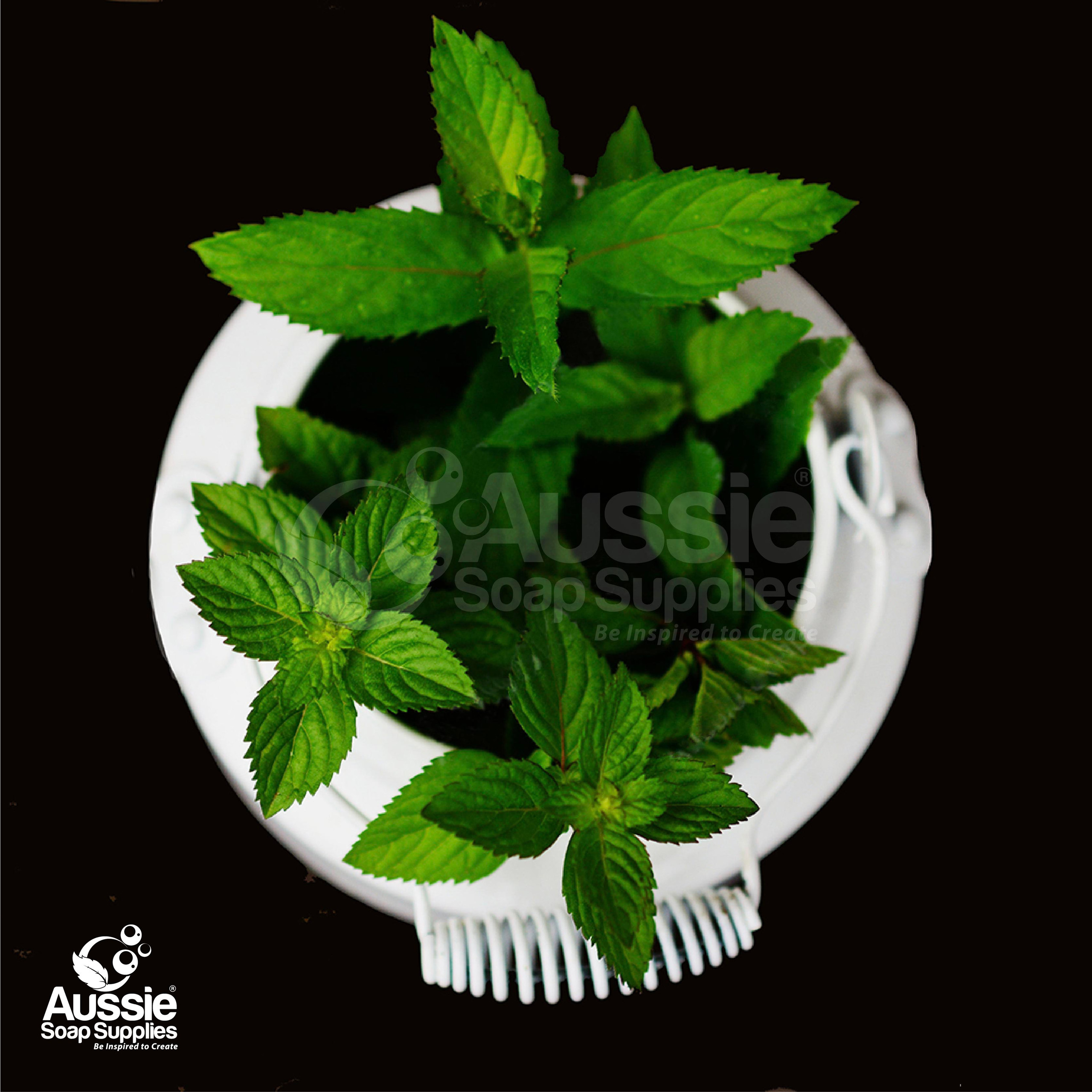 Premium Peppermint Pure Essential Oil