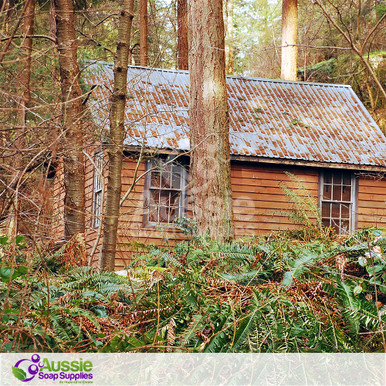 Rustic Woods & Rum Fragrance Oil