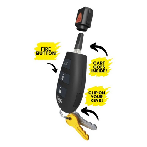 Smyle Labs Penjamin Car Key 510 Cart Battery - EsmokerOnline