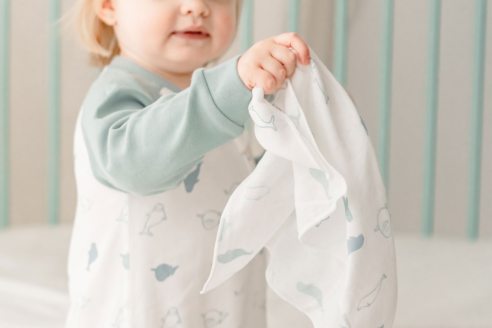 Nest Designs Layer Washcloth best Set