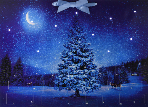 Advent Calendar - Moonlight Silhouette Transparent Calendar